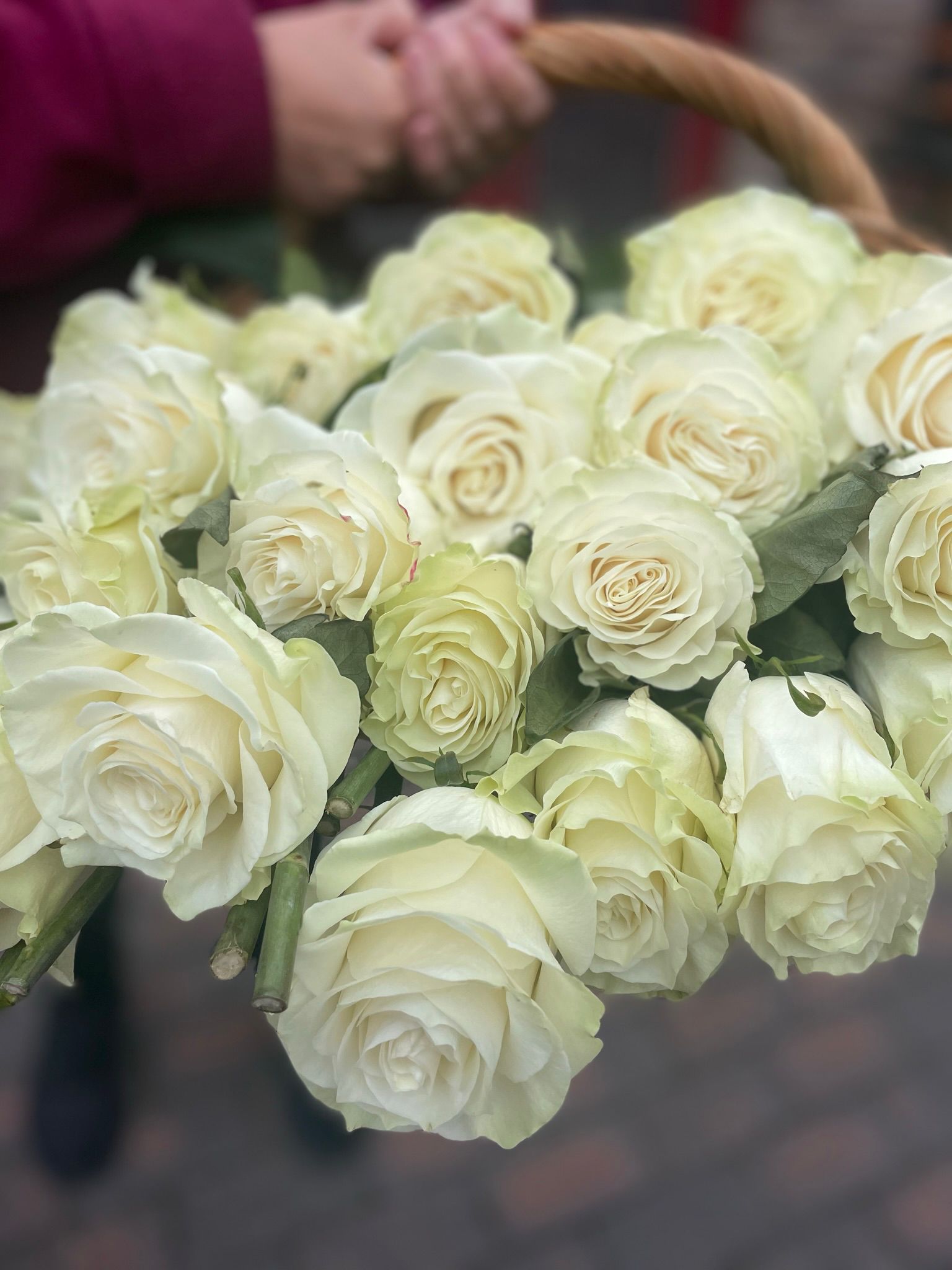 Remembering Richard's Return | Bosworth Battlefield Heritage Centre